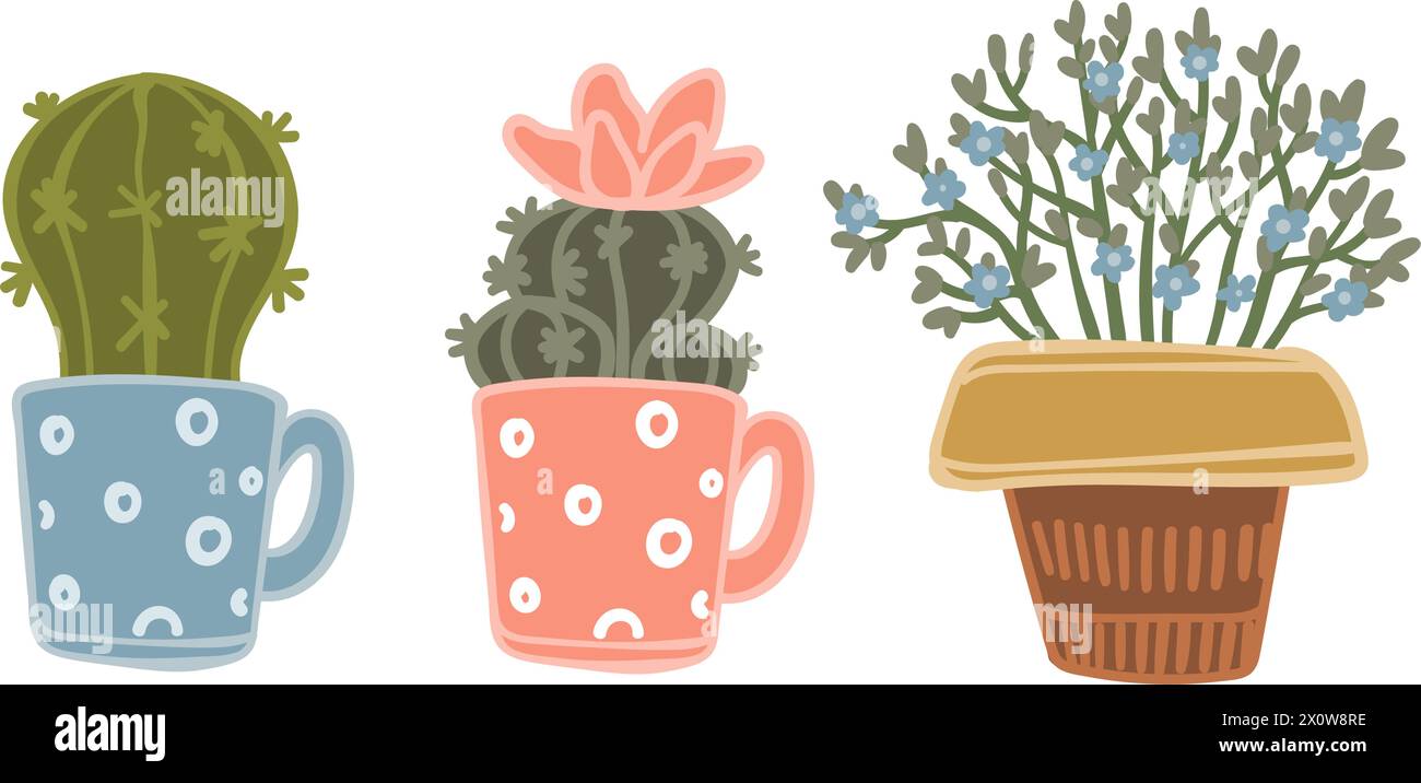 Cacti and Succulents in Colorful Pots Vector Stock Vector Image & Art ...