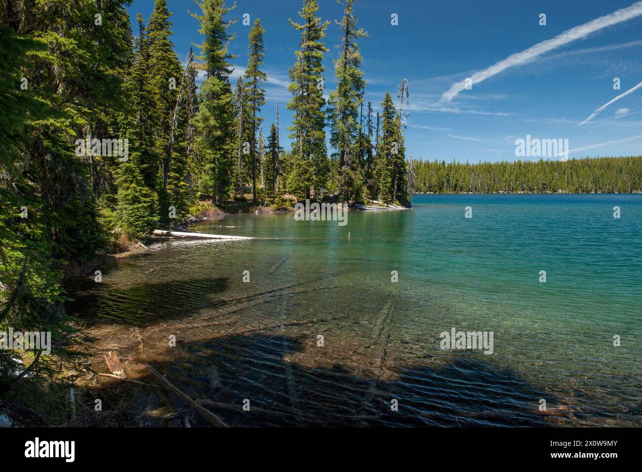 Charlton Lake, Oregon, near Waldo Lake and very near the Pacific Crest ...