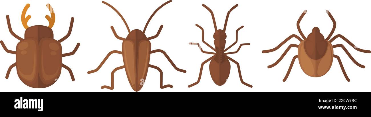 Different Beetle Species Set vector Stock Vector Image & Art - Alamy