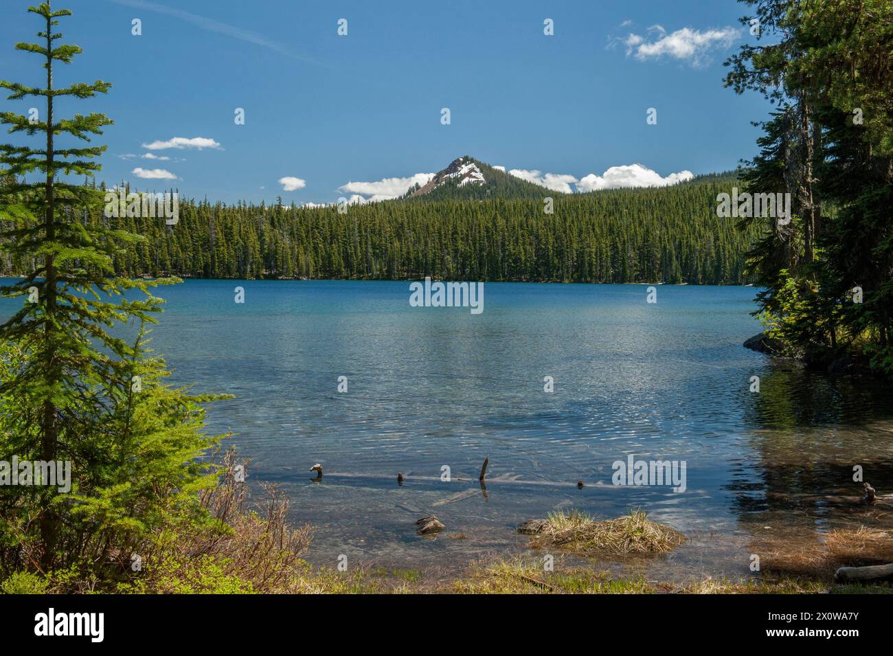 Oregon's Charlton Lake and Gerdine Butte Stock Photo - Alamy