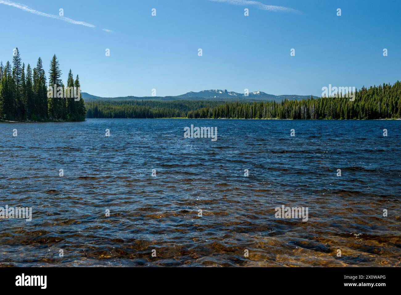 Irish Mountain as seen from Oregon's Little Cultus Lake Stock Photo - Alamy