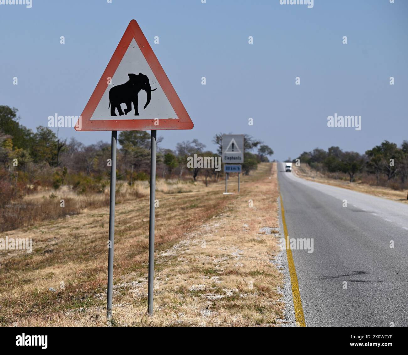 Road Sign at the B8 in Namibia warning about elephants Stock Photo - Alamy
