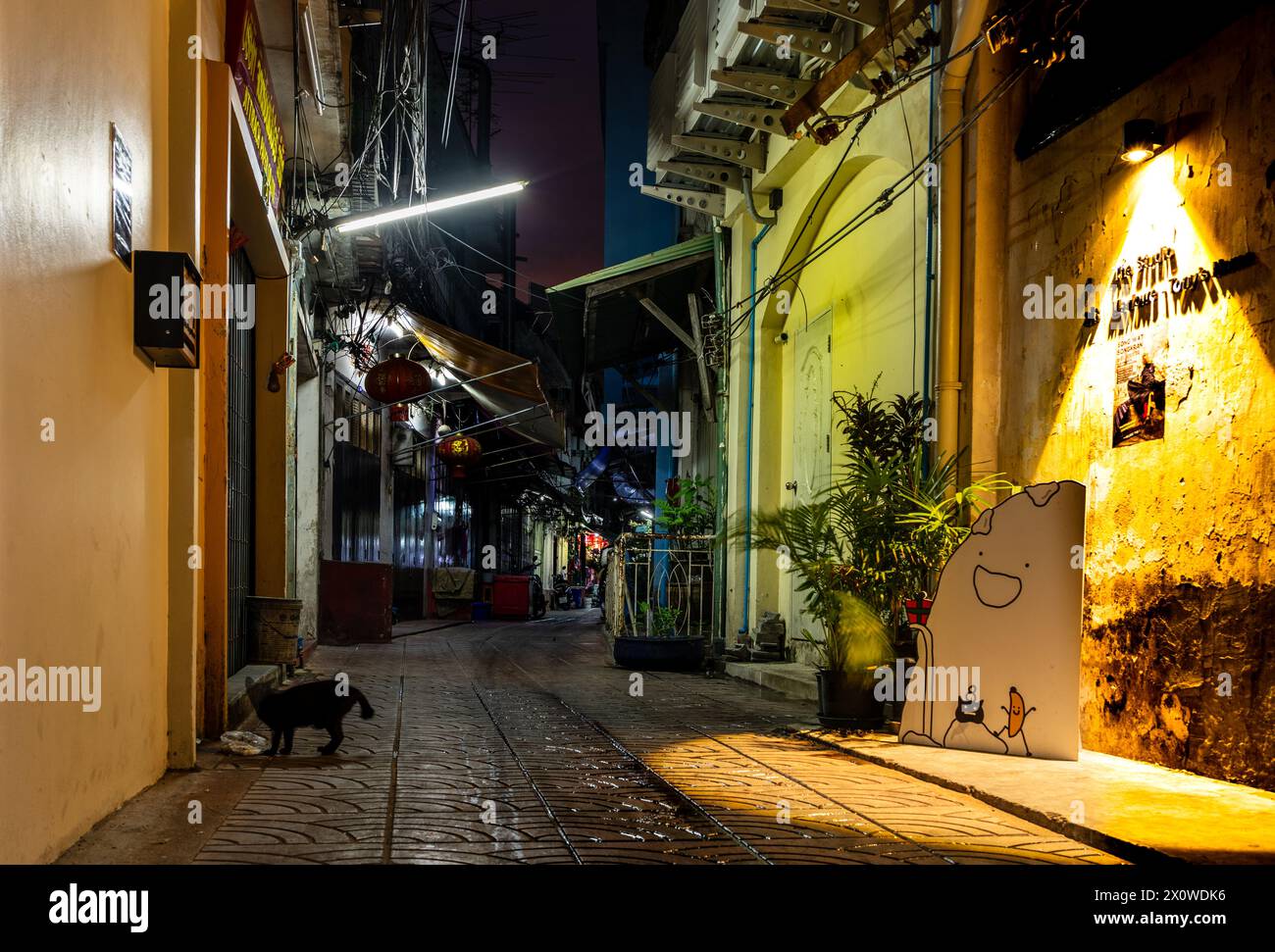 Light and shadow in a Bangkok alley at night Stock Photo - Alamy