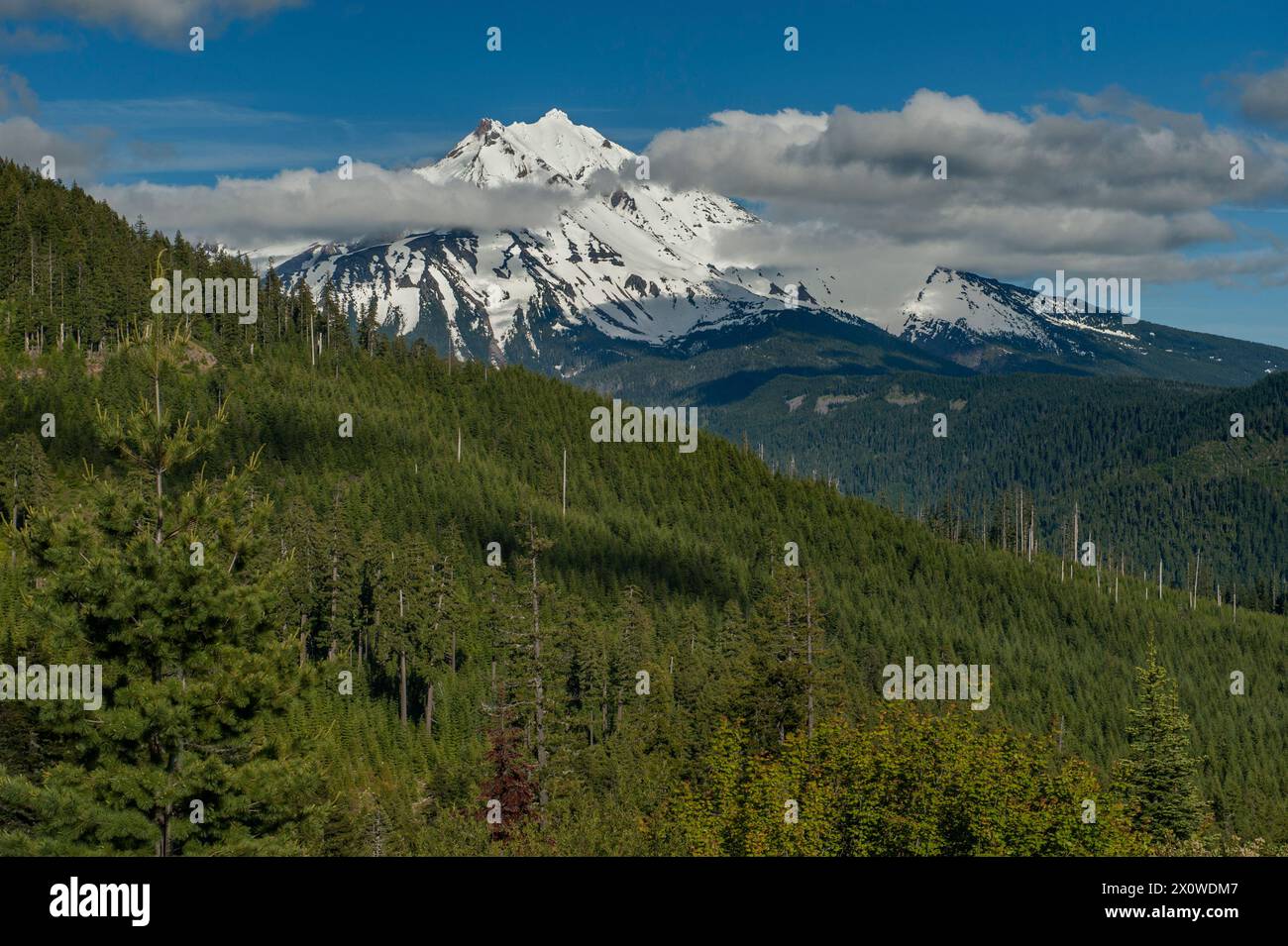 Oregon's Mt. Jefferson, from a viewpoint near Triangulation Peak Stock ...