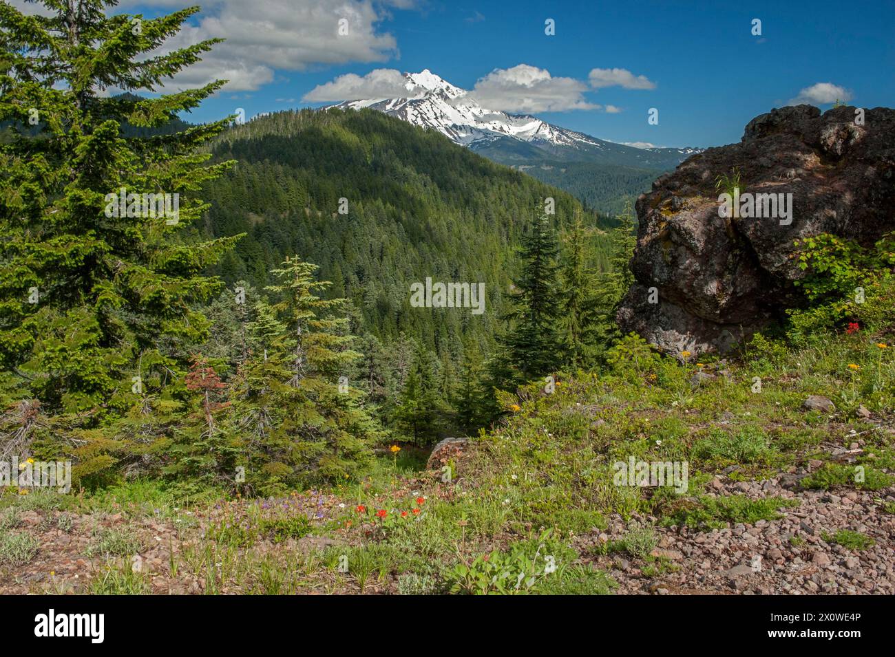 Oregon's Mt. Jefferson, from a viewpoint near Outerson Mountain Stock ...