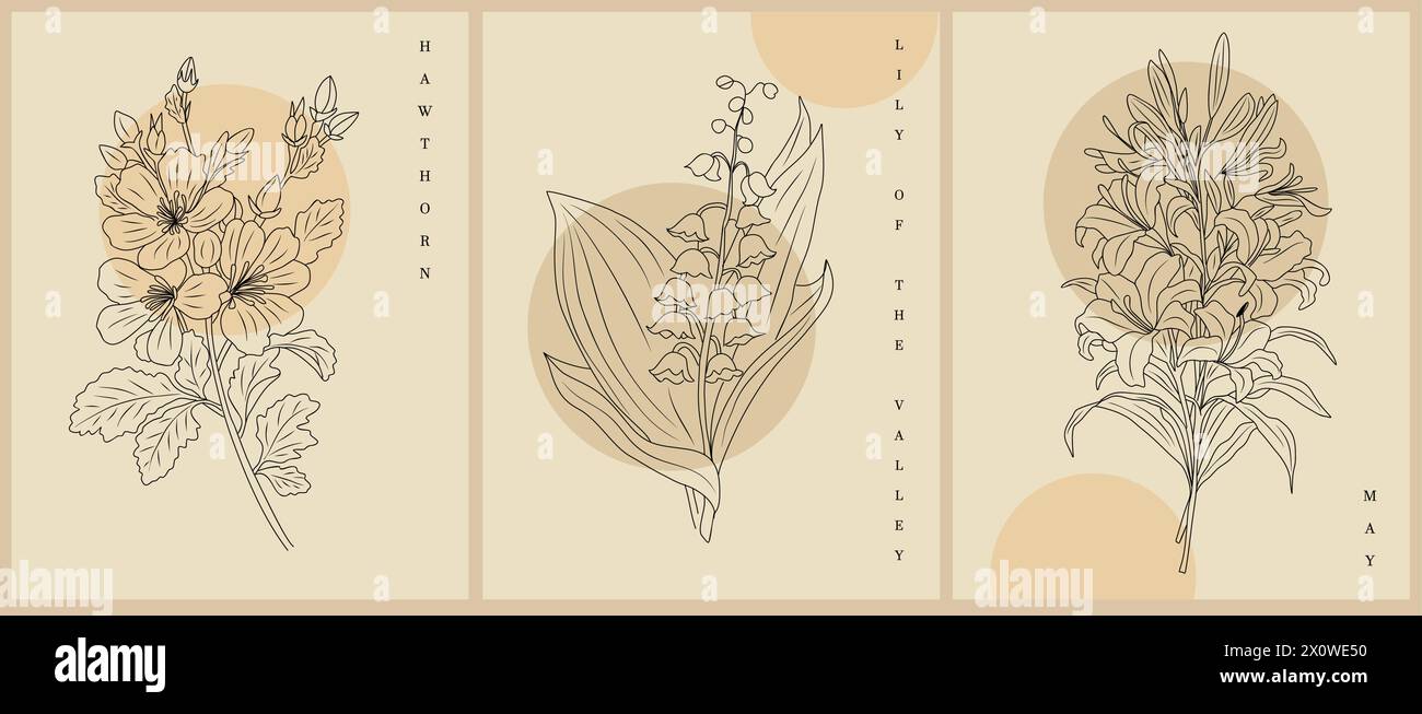 Botanical wall arts with May birth flower drawing Stock Vector Image ...
