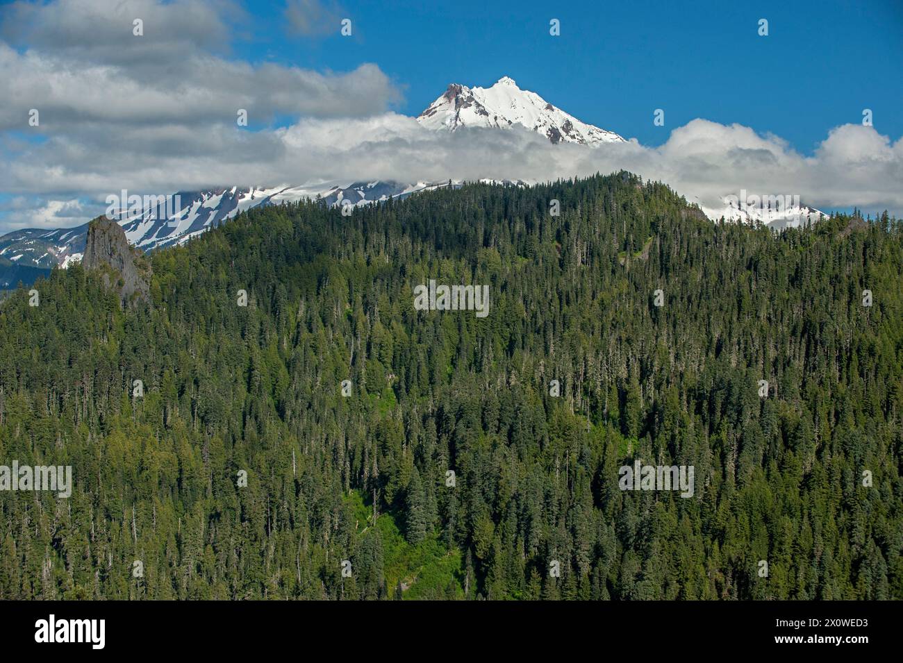 Oregon's Mt. Jefferson as seen from Triangulation Peak (foreground ...