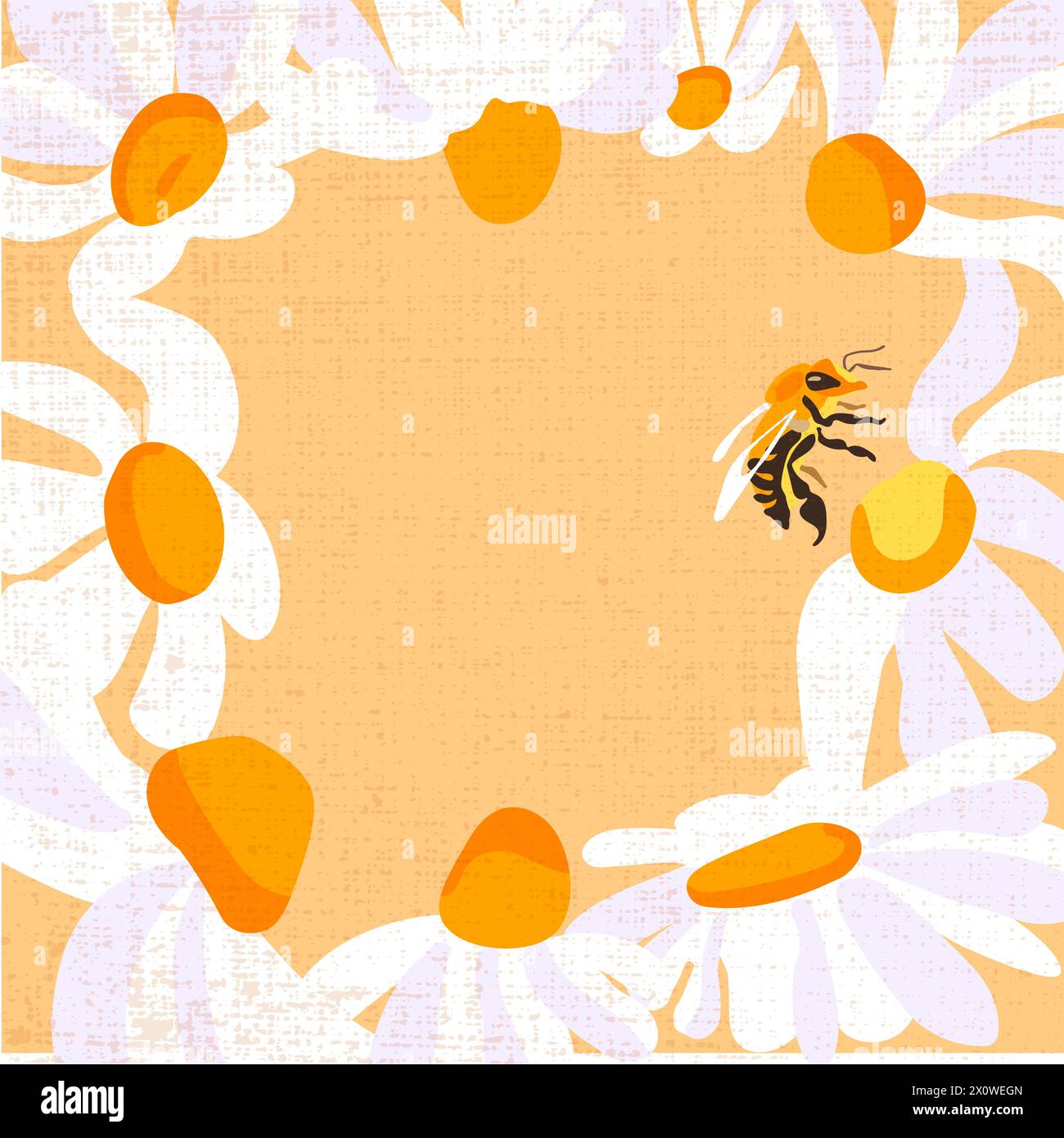 Frame of white daisies golden background. Daisy bee. Insect flowers ...