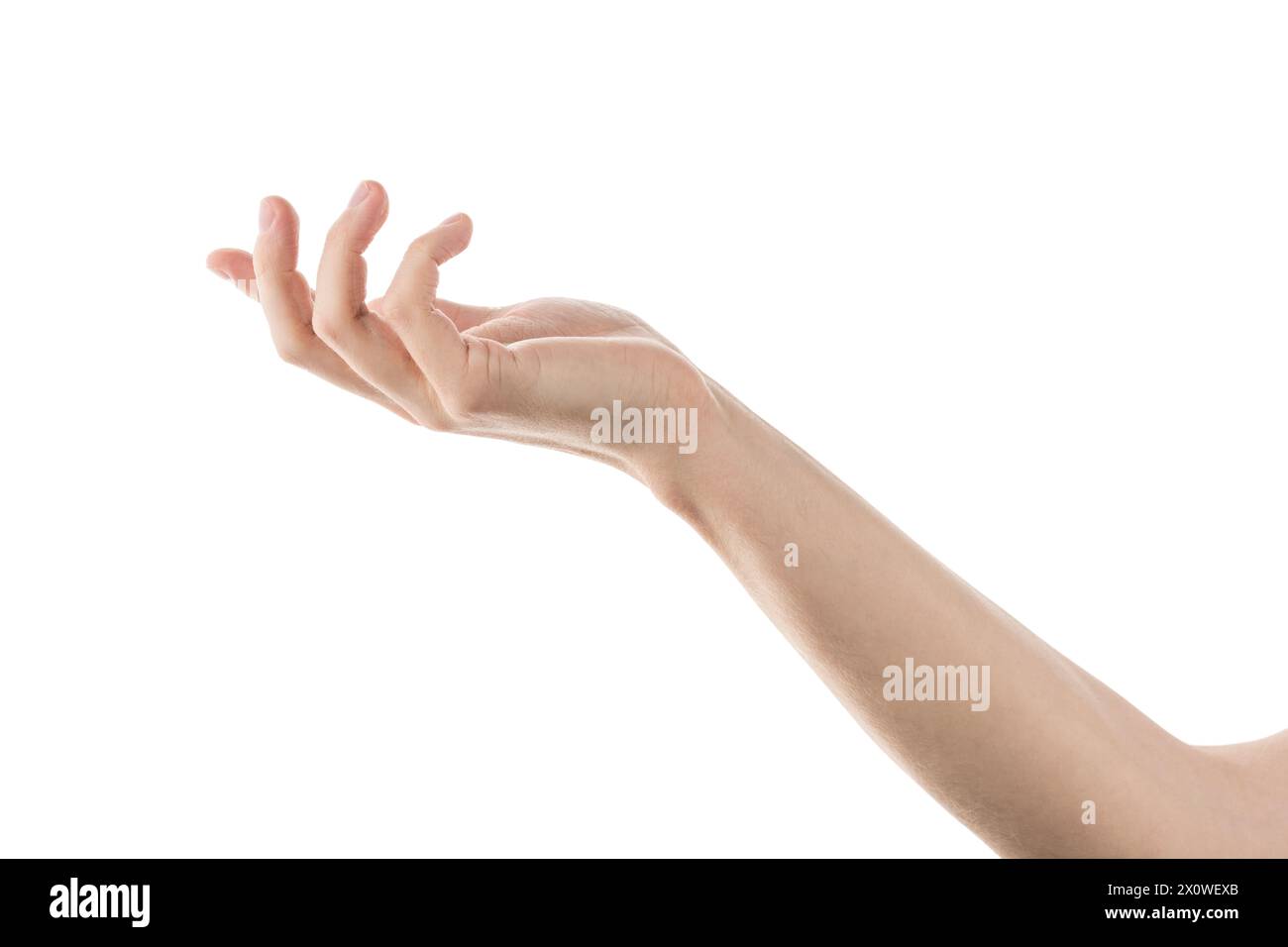 Adult man hand to hold something on his palm isolated on white ...
