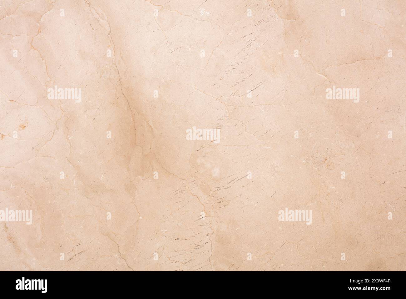 New Ivory Cream Coto, Marfil - marble background, texture in stylish ...