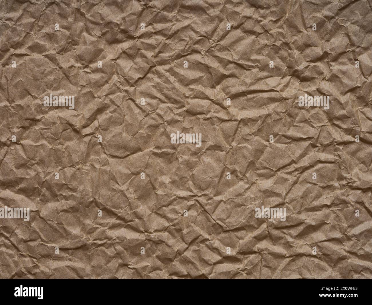 A rugged landscape of taupe, the paper's crinkles map out an intricate ...