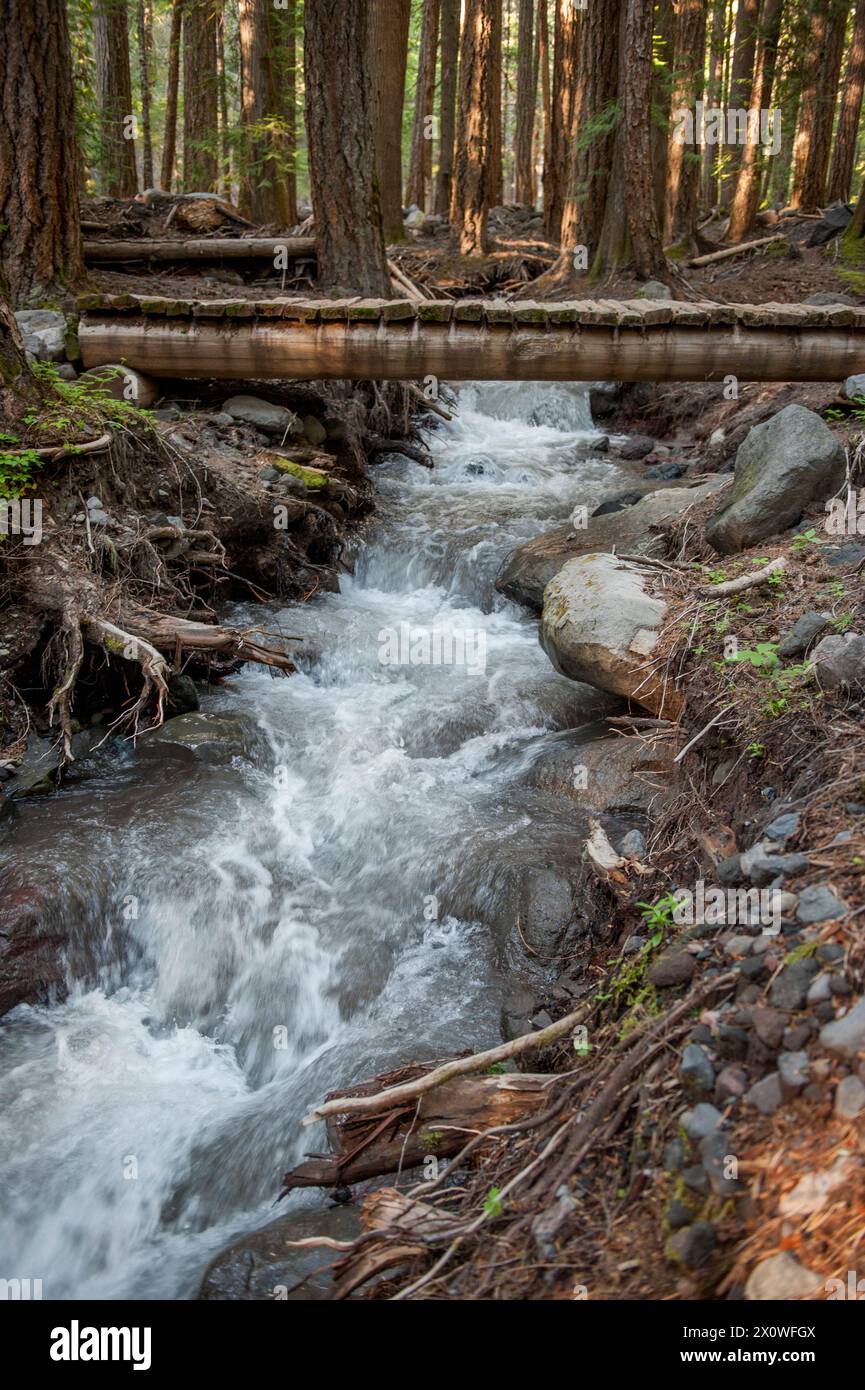 The Pamelia Lake trail crosses Pamelia Creek in Oregon's Mt. Jefferson ...