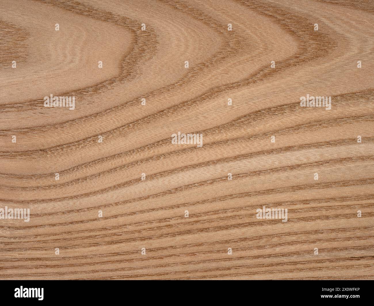 Close-up of elm tree veneer, a graceful wooden surface with timeless ...
