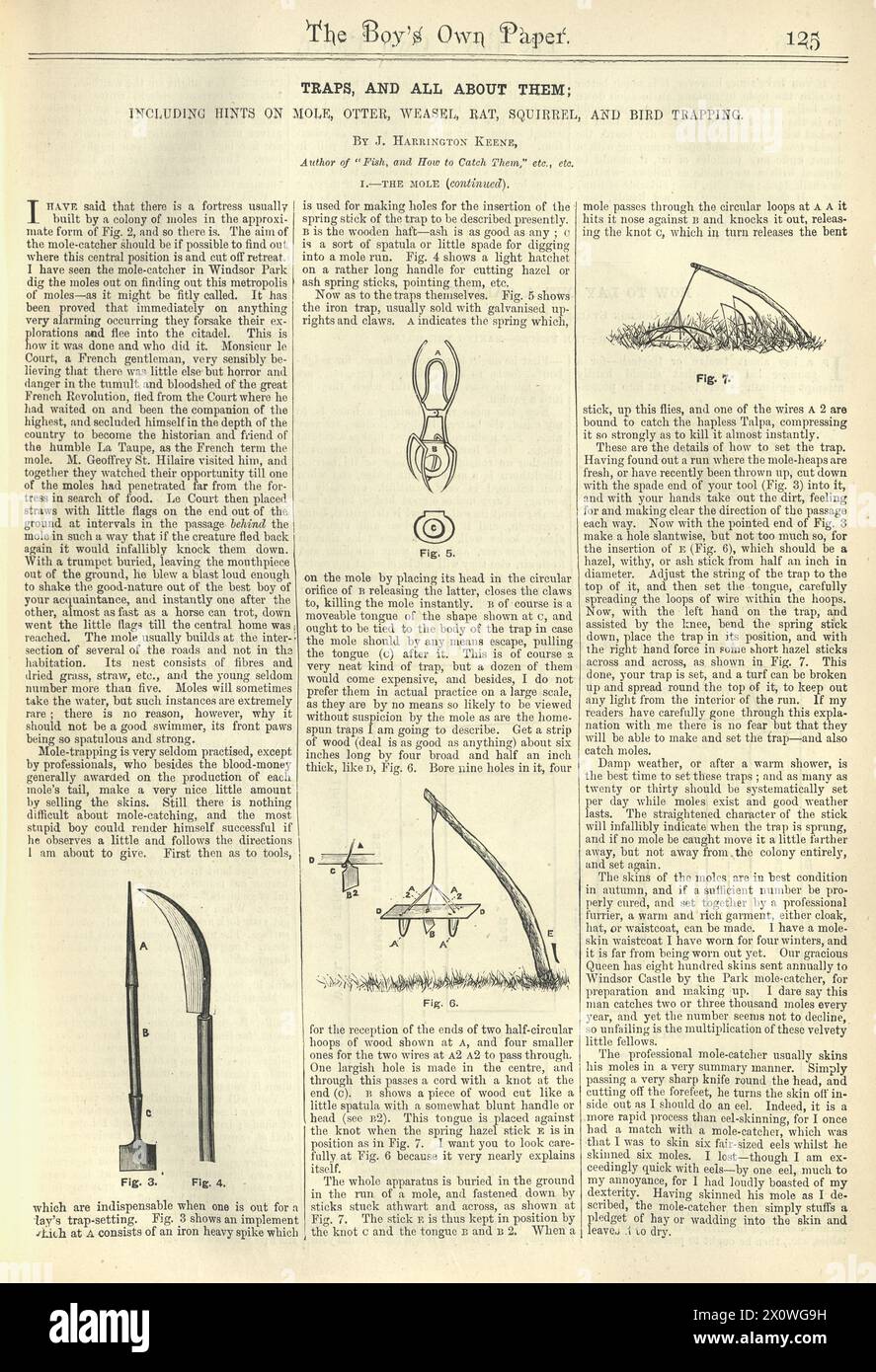 Traps and all about them, trapping, Victorian 19th Century, Boy's Own ...