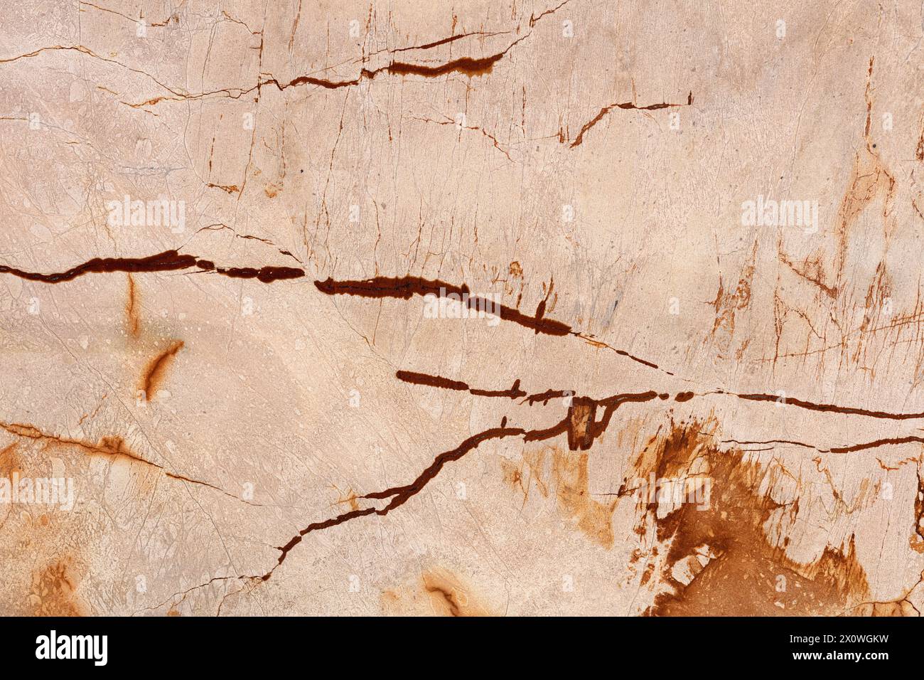 Roma Imperiale - natural calcite background in gentle light beige color ...