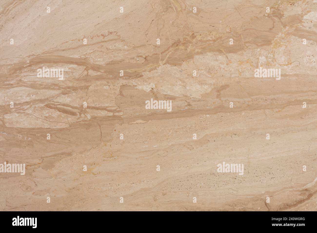 Daino Reale marble background, texture in natural color for your ...