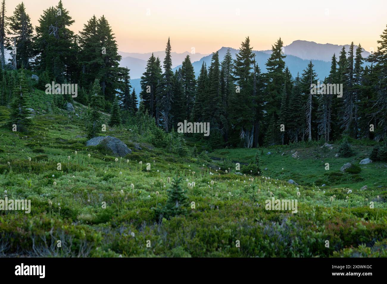 Paradise valley at sunset. Mount Rainier National Park. Washington ...