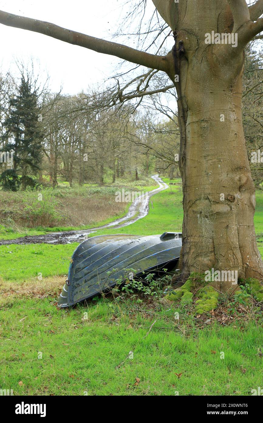 Old wooden boat overturned iunder an old tree Stock Photo - Alamy