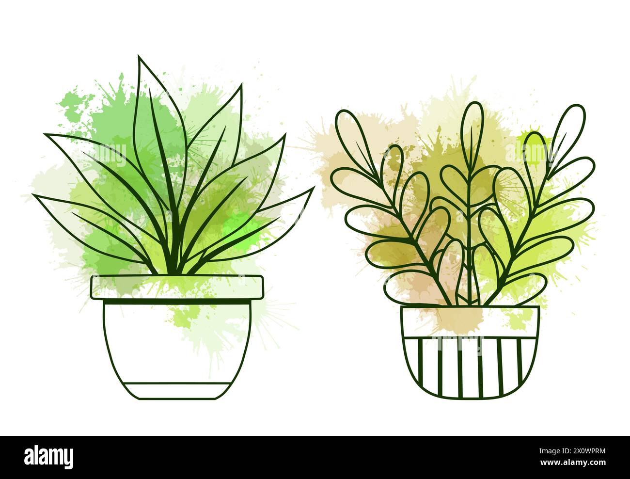 Vector set of contour various plants in pots clip arts with green ...