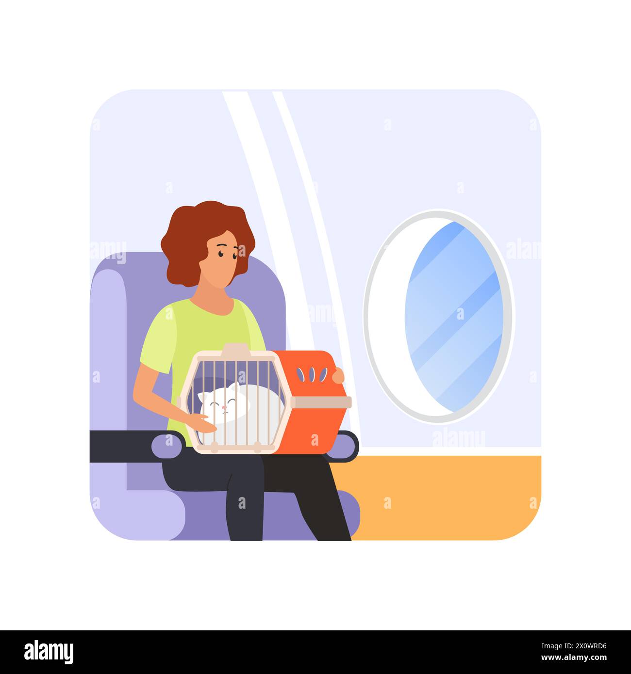 Woman with cat carrier sitting at airplane window during flight vector ...