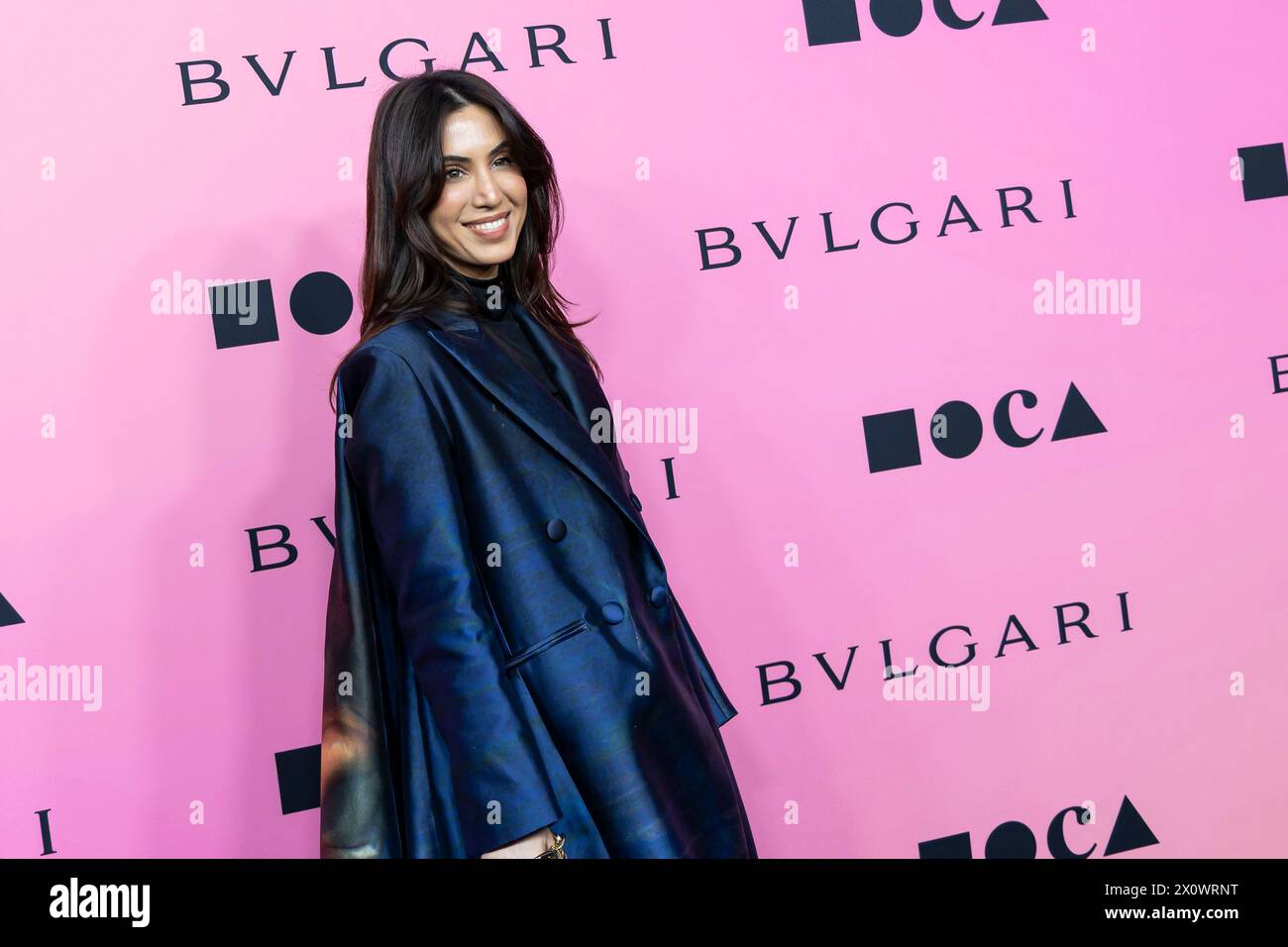 Tania Sarin Araradian attends the arrivals of “The MOCA Gala” at The ...