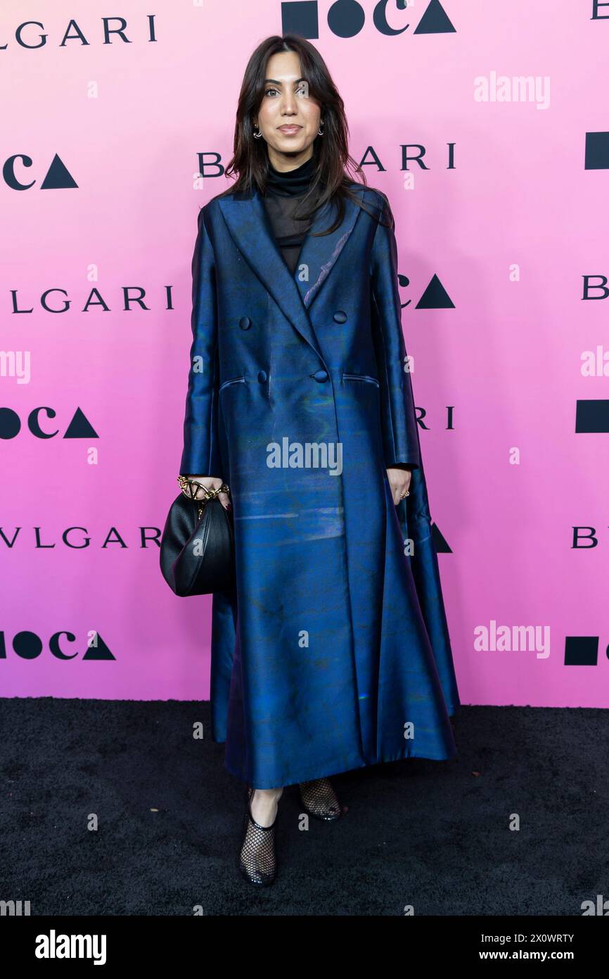 Tania Sarin Araradian attends the arrivals of “The MOCA Gala” at The ...