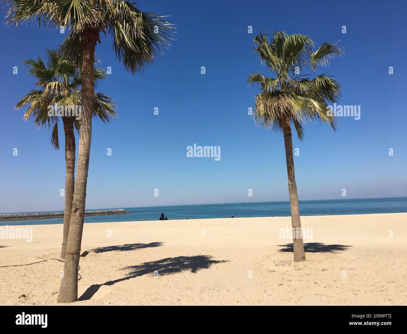 In the desert of Kuwait City, Kuwait Stock Photo - Alamy