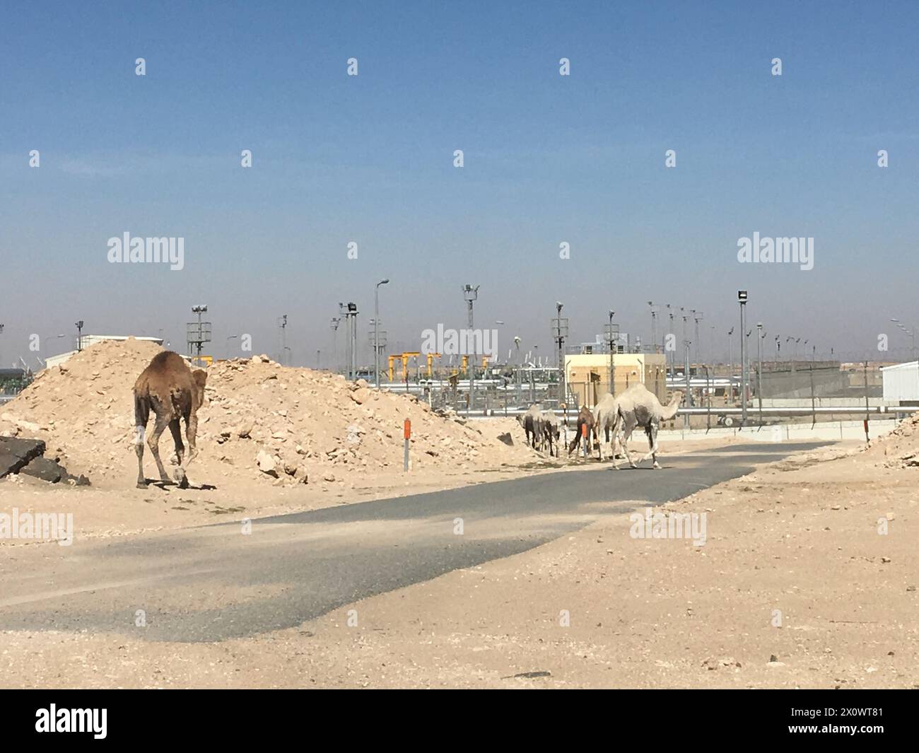 Kuwait women rights hi-res stock photography and images - Alamy