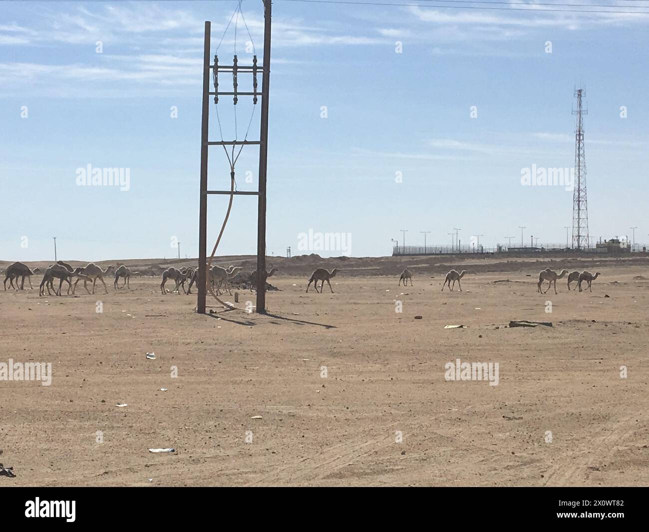 In the desert of Kuwait City, Kuwait Stock Photo - Alamy