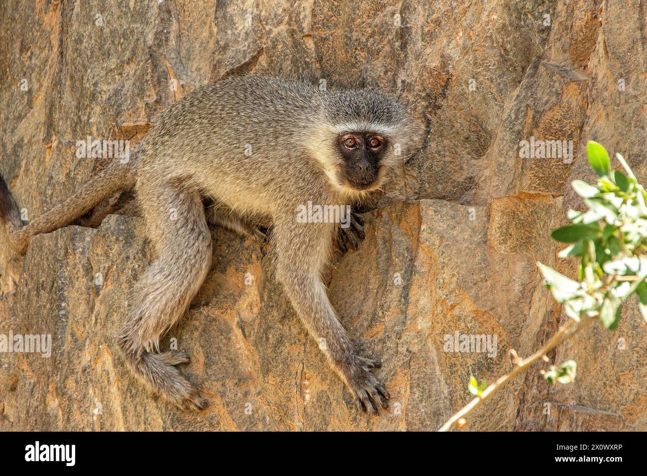 Climbing tour hi-res stock photography and images - Alamy