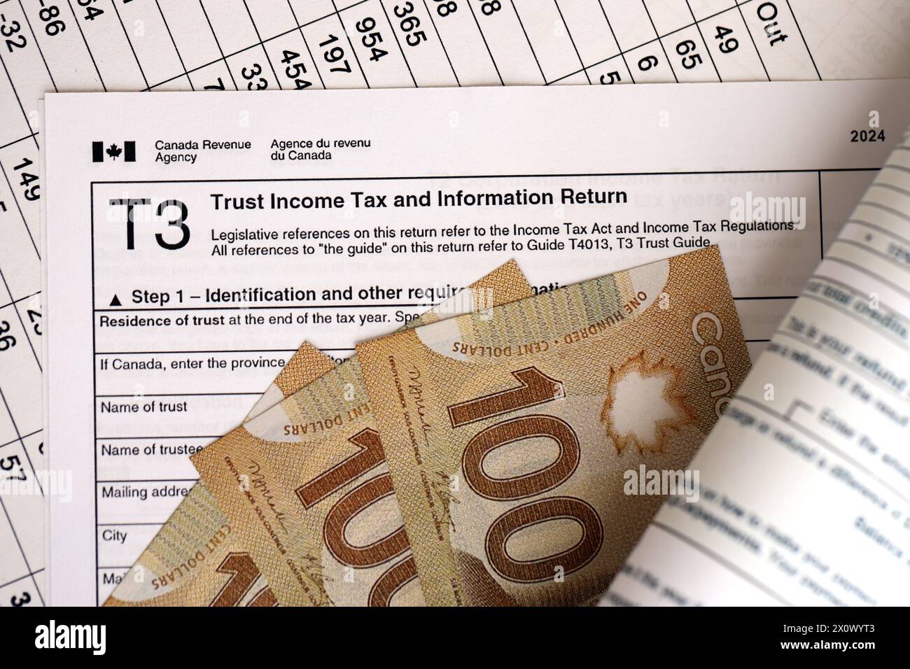 Canadian T3 tax form Trust income tax and information return lies on ...