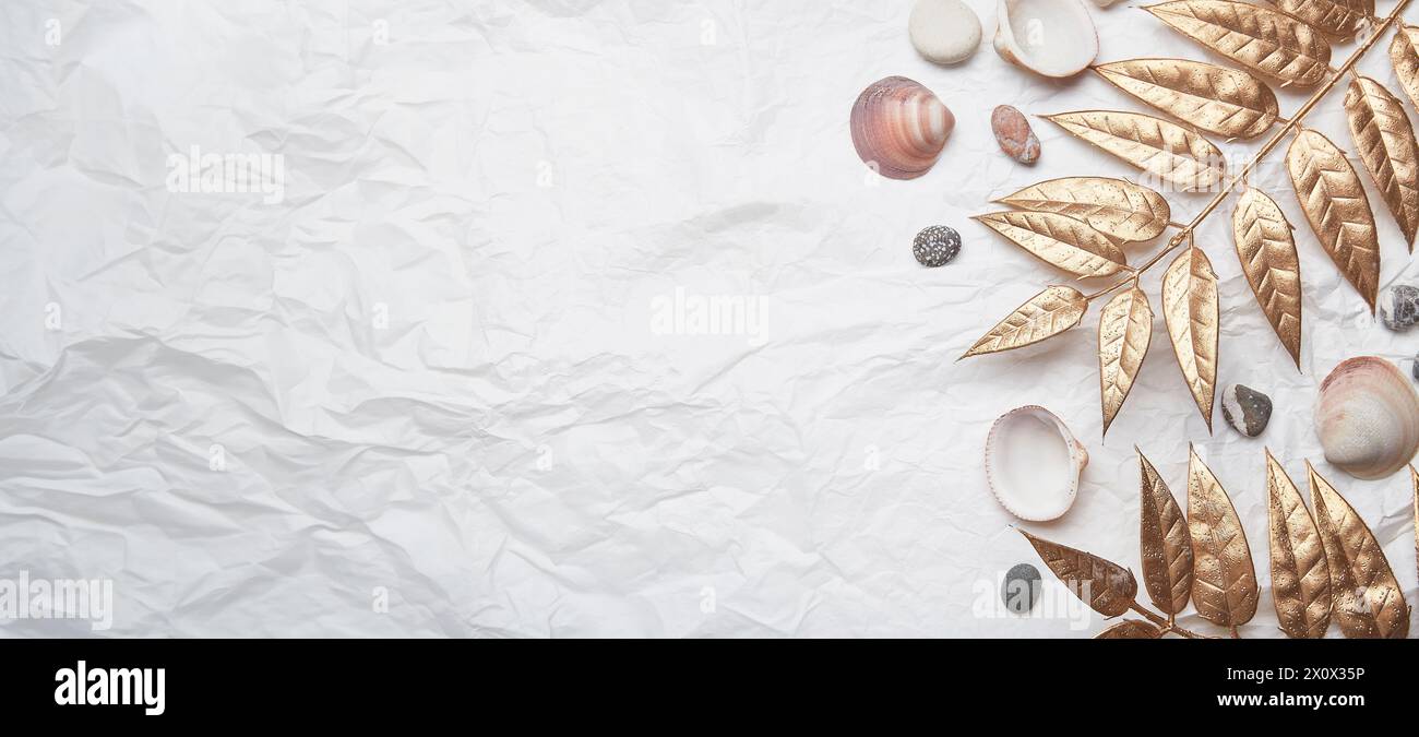 rustic seashell summer background with copy space. Extra wide banner ...
