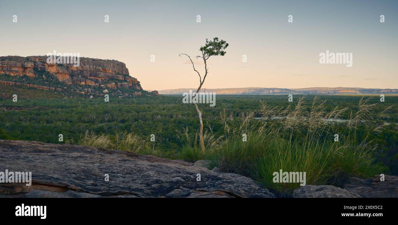 Remote australia nt hi-res stock photography and images - Alamy