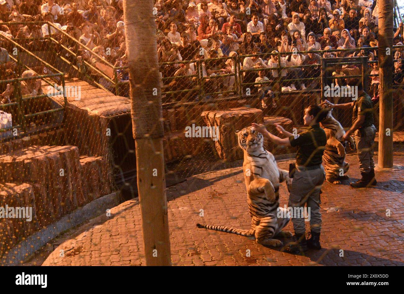 Bogor, West Java, Indonesia. 14th Apr, 2024. Visitors watch attraction ...