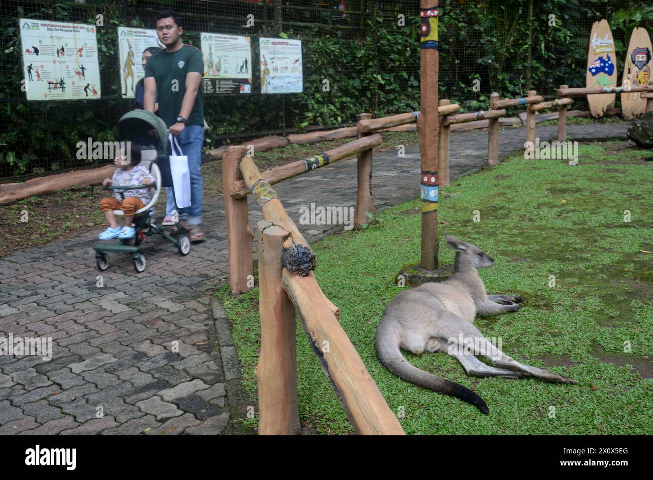 Bogor, West Java, Indonesia. 14th Apr, 2024. A Family watch a Puma in a ...