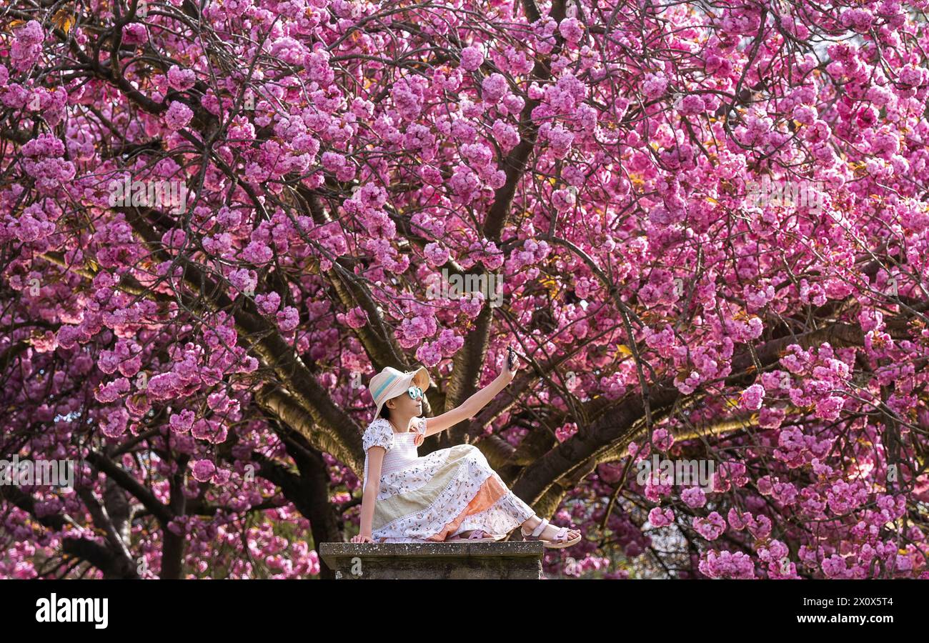 Photograph posed by model. Maja Lawson takes a photograph as she enjoys ...