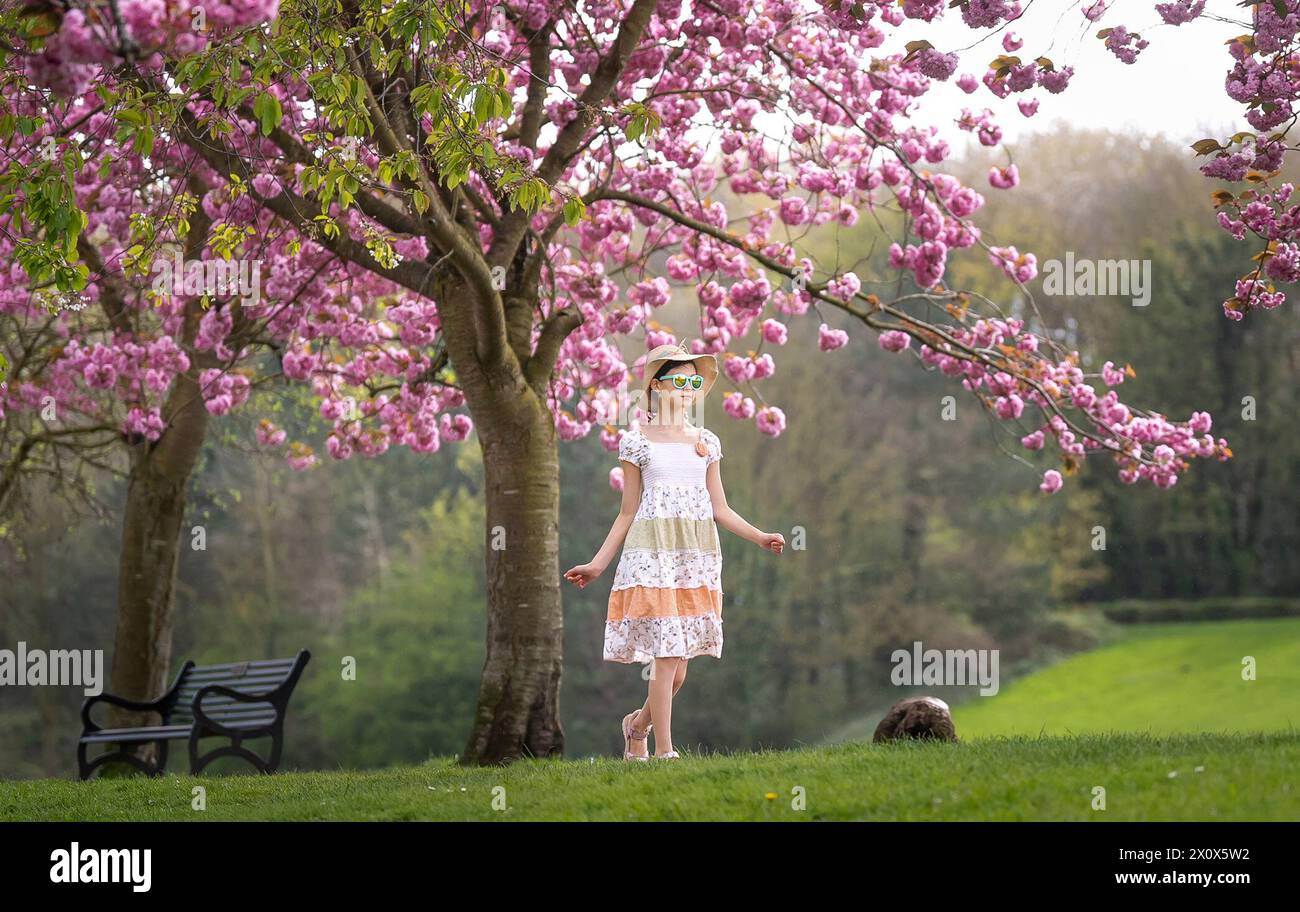 Photograph posed by model. Maja Lawson enjoys the blossoms in ...