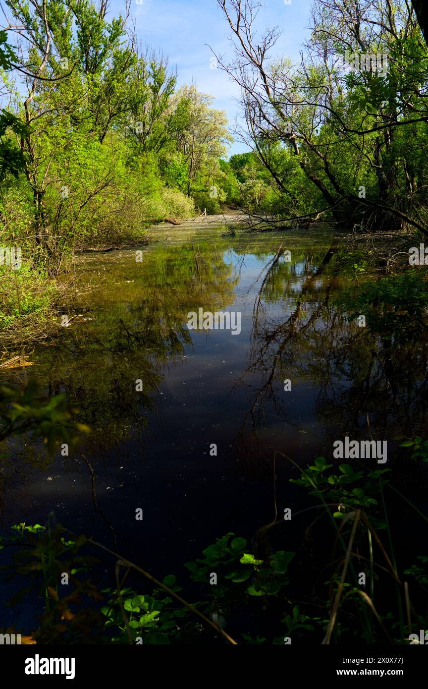 Punta Alberete nature reserve (Ravenna Stock Photo - Alamy
