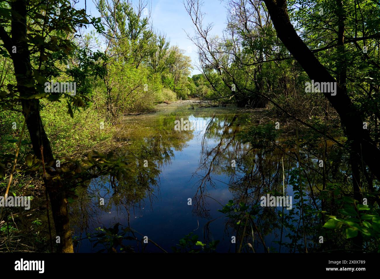 Punta Alberete nature reserve (Ravenna Stock Photo - Alamy