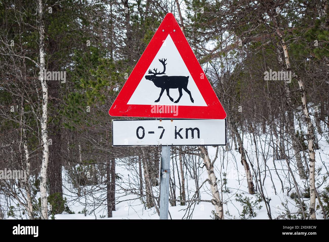 Moose/elk warning sign, Norway Stock Photo - Alamy