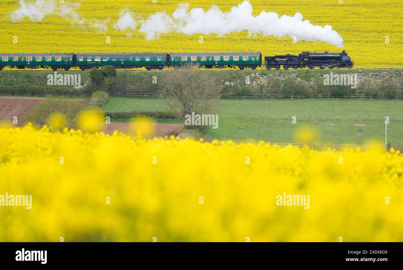 The S15 class steam locomotive 506 makes it's way along the Mid Hants ...