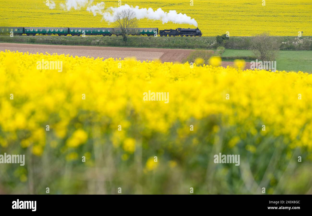 The S15 class steam locomotive 506 makes it's way along the Mid Hants ...