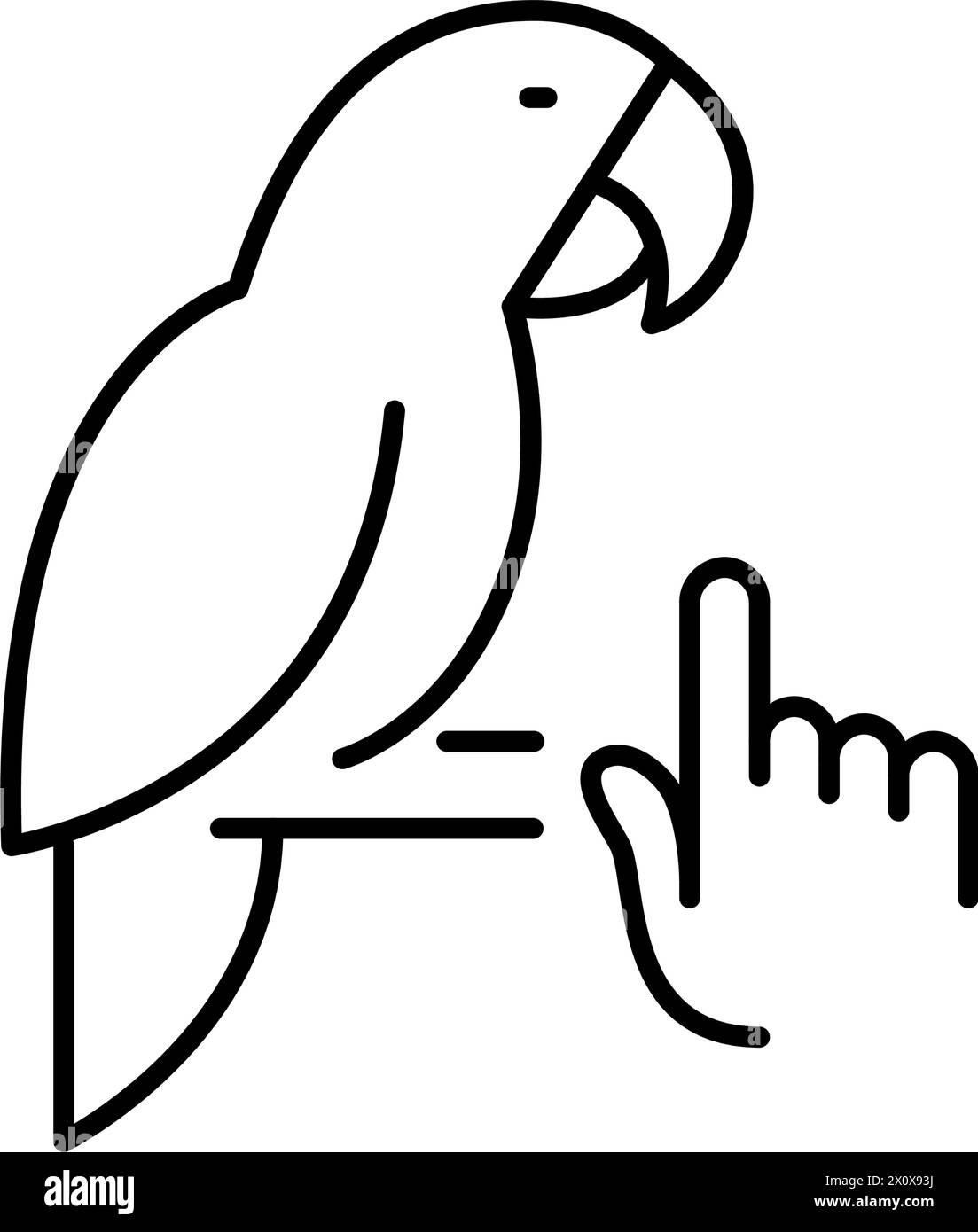 Bird pet adoption. Finger tapping on parrot picture. Easy and ...