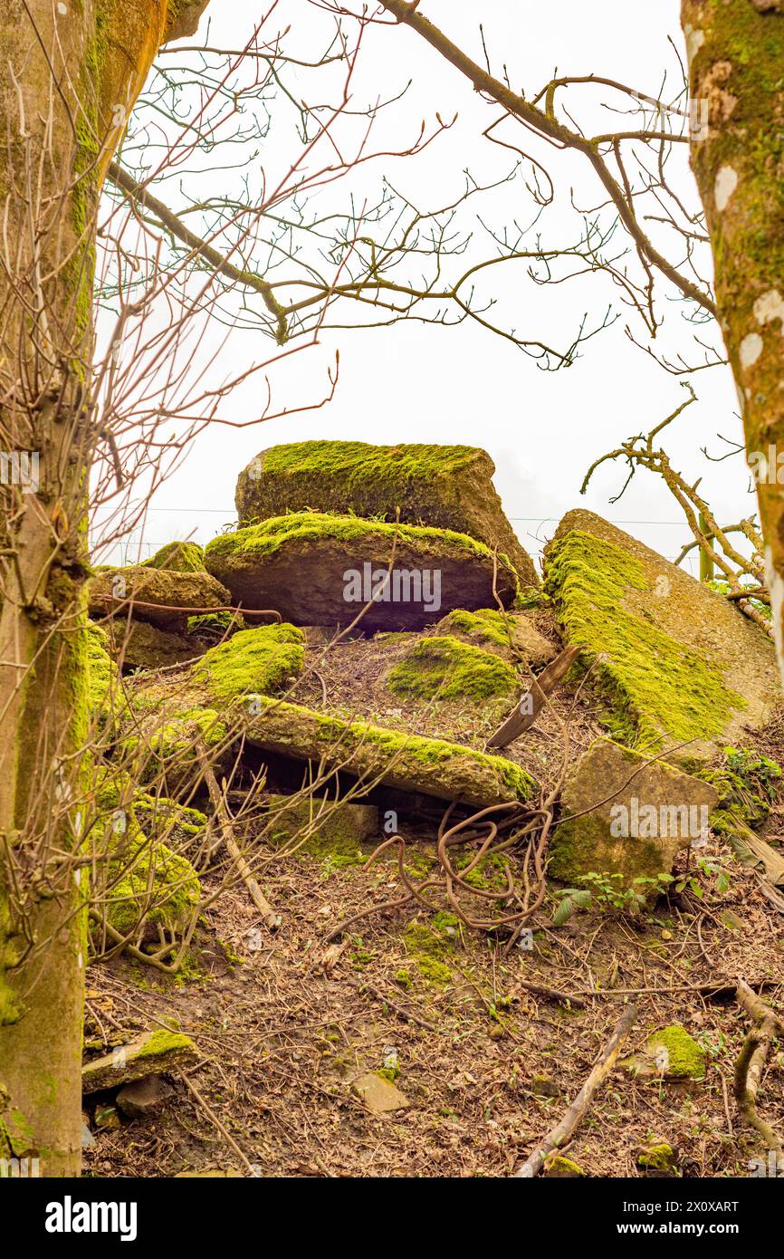 Possible remains of a Second World War concrete observation post ...
