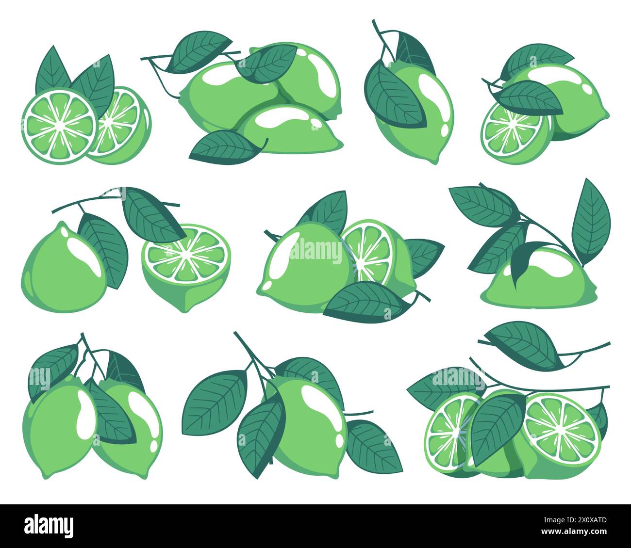 Green limes. Cartoon citrus fruits with leaves, sour organic citric ...