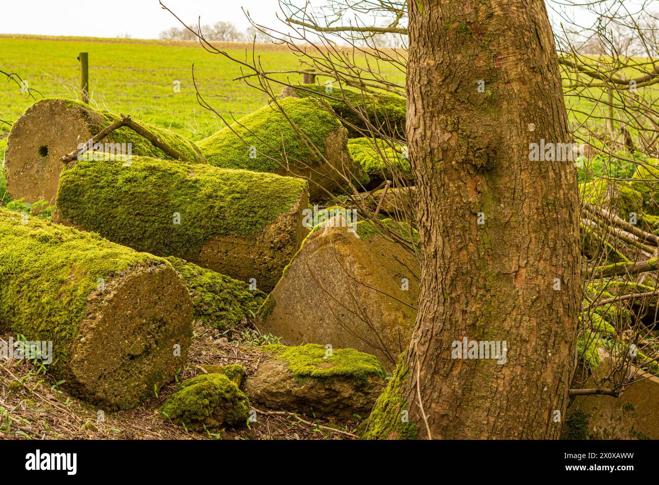 Possible remains of a Second World War concrete observation post ...