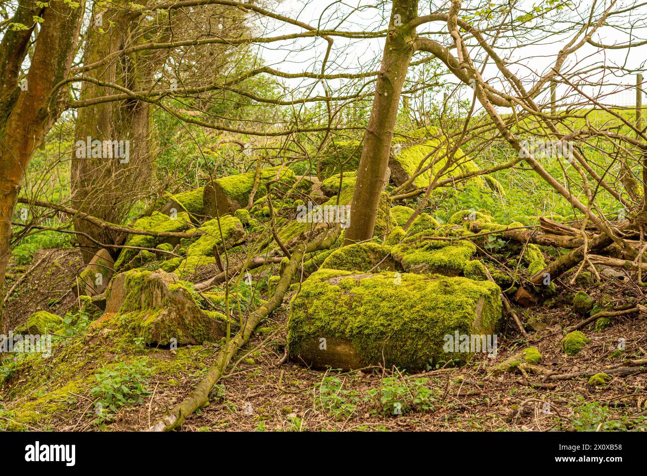 Possible remains of a Second World War concrete observation post ...