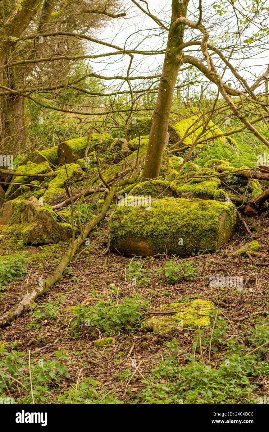 Possible remains of a Second World War concrete observation post ...