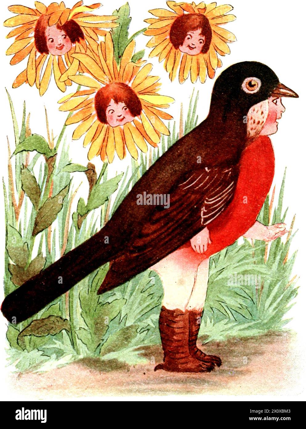 Bird Children - The Little Playmates of the Flower Children By ...