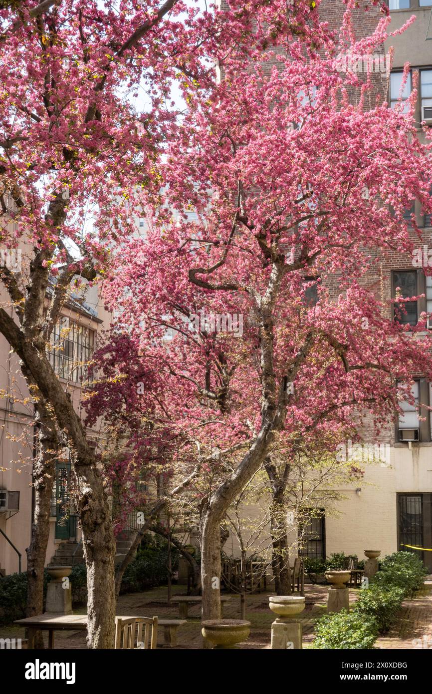 2024 color hi-res stock photography and images - Alamy